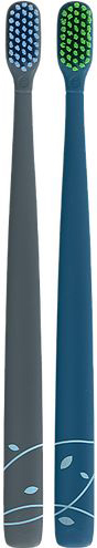 לקנות זוג מברשות שיניים צבעוניות למבוגרים Flipper TWIGO כחול/אפור ...
